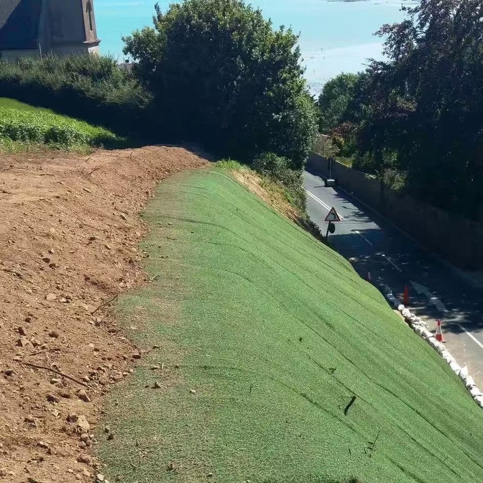 Erosion Control Geomat with 3D Structure for Slope Stabilization - Anti ...