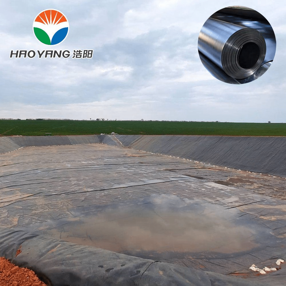 10m Wide HDPE/LLDPE Geomembrane for Tunnel Construction - Anti-seepage ...